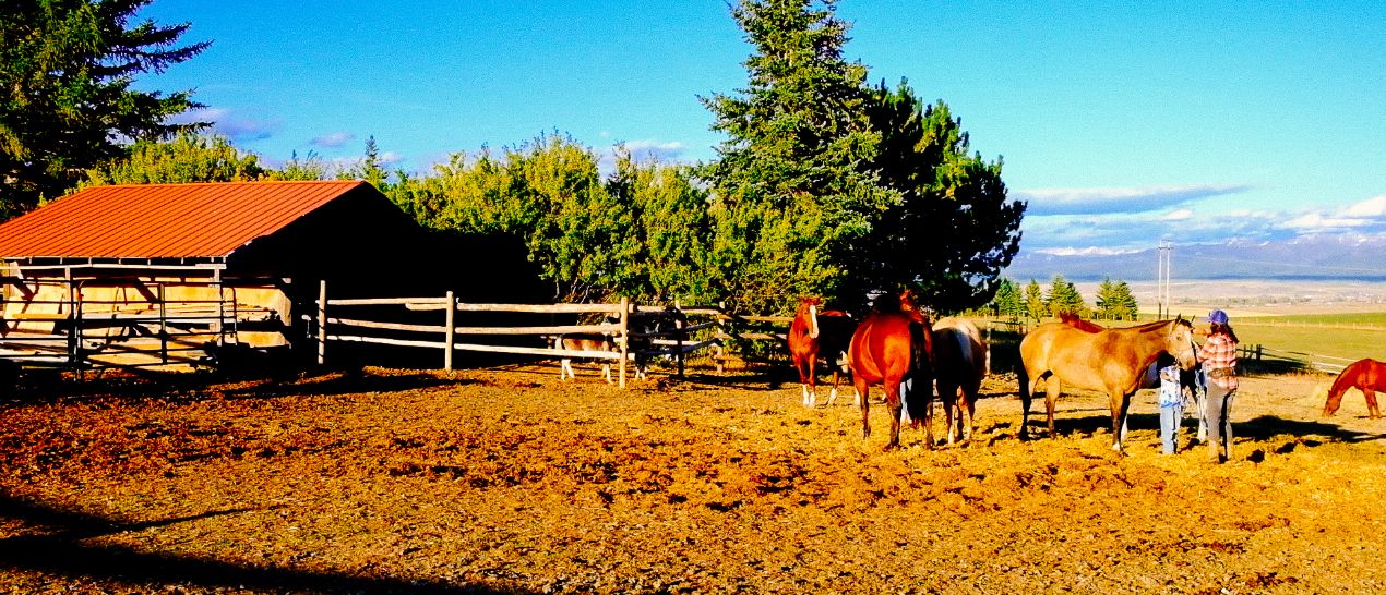 TOA Ranch - Tetonia, ID | CurbNTurf